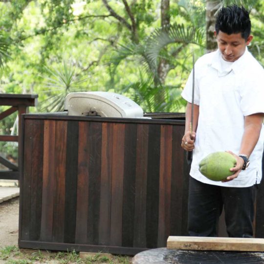 Home - Mahogany Hall Boutique Resort